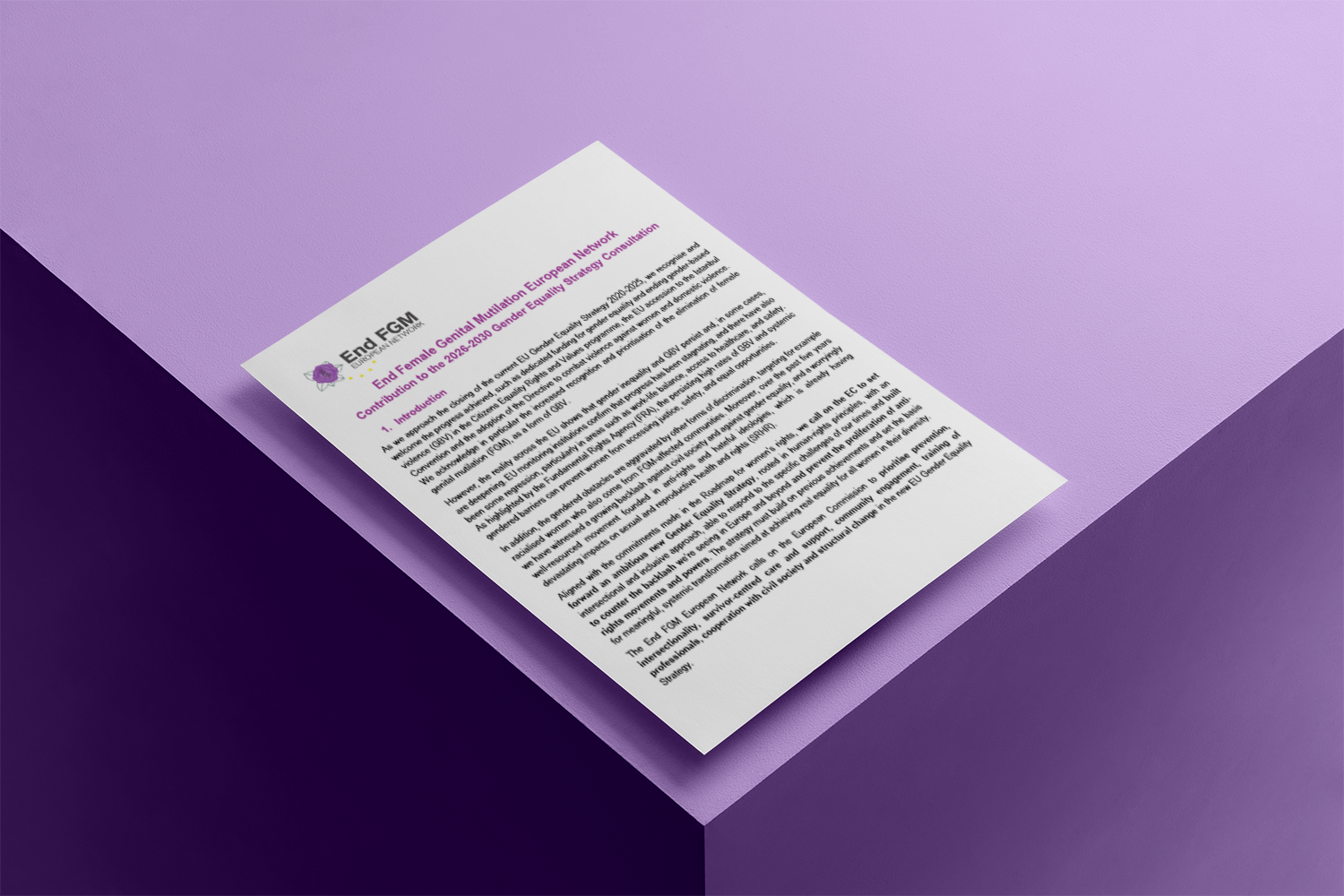 Our Contribution to the 2026–2030 Gender Equality Strategy Consultation | End FGM